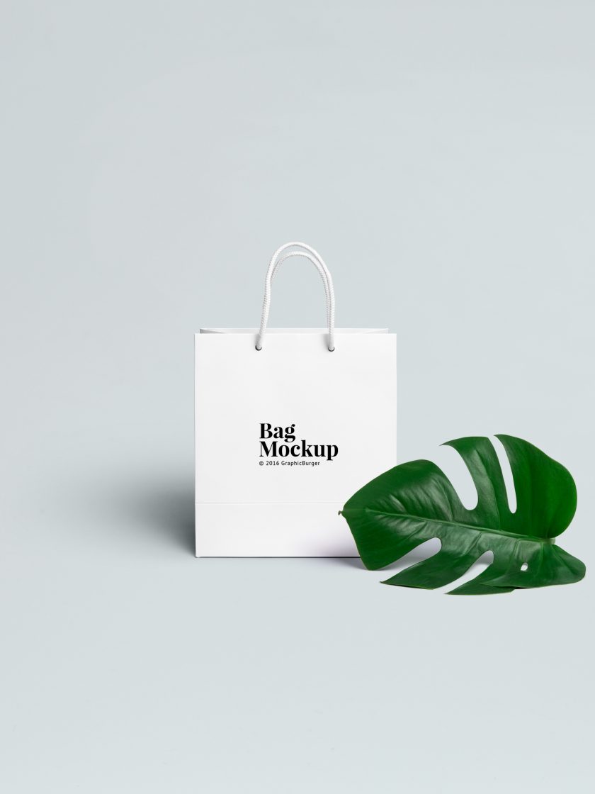 Portfolio Image Sizes – Movedo Creative Theme