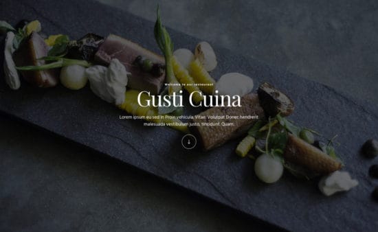 Movedo Creative Theme – We DO MOVE Your World