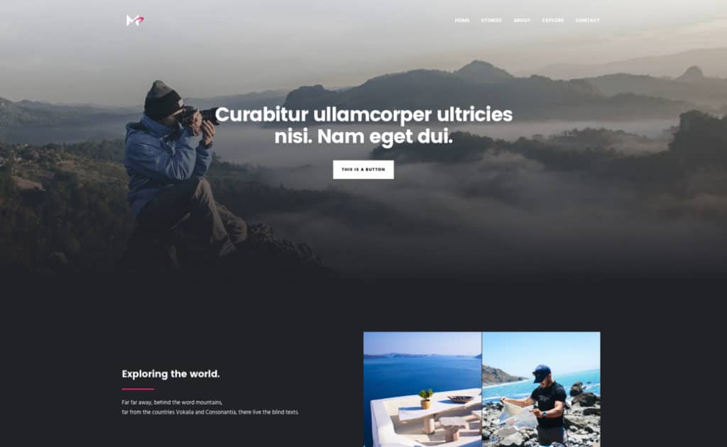 Movedo Creative Theme – We DO MOVE Your World