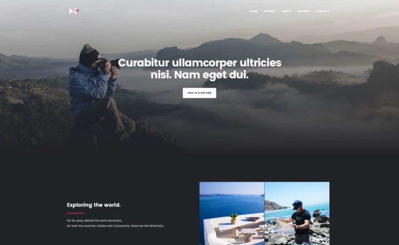 Movedo Creative Theme – We DO MOVE Your World